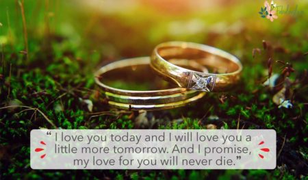Best Fiancé Quotes | Engagement Quotes | Fabulously