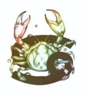 Which Rashi can wear Diamond | Diamond for Rashi | Fabulously