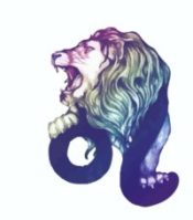 Which Rashi can wear Diamond | Diamond for Rashi | Fabulously