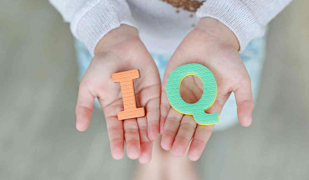 What does iq stand for and how to Test IQ | Fabulously